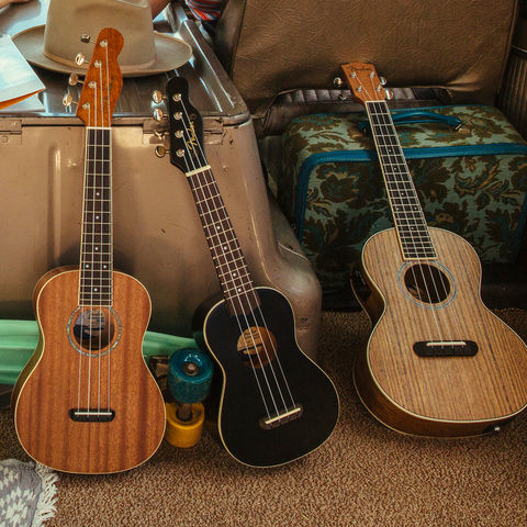 Ukulele Lessons - Damian Oxborough: Skipton Teacher of Music