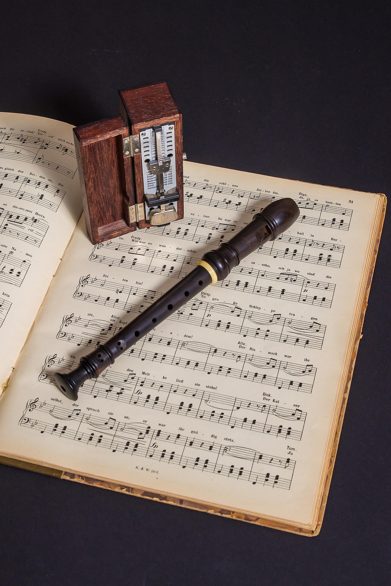 Recorder and Tin (Penny) Whistle - Damian Oxborough: Skipton Teacher of ...